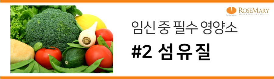 임산부 필수 영양소 ② 섬유질 검은콩·호박·아몬드 등 섬유질 많은 음식 7가지 알아보기 과일 채소 산모 영양 식단